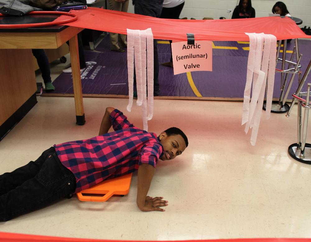 Gallery - North Main